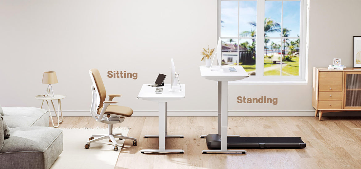 WalkingPad Standing Desk Height Adjustable – Xiaomi Crowdfunding